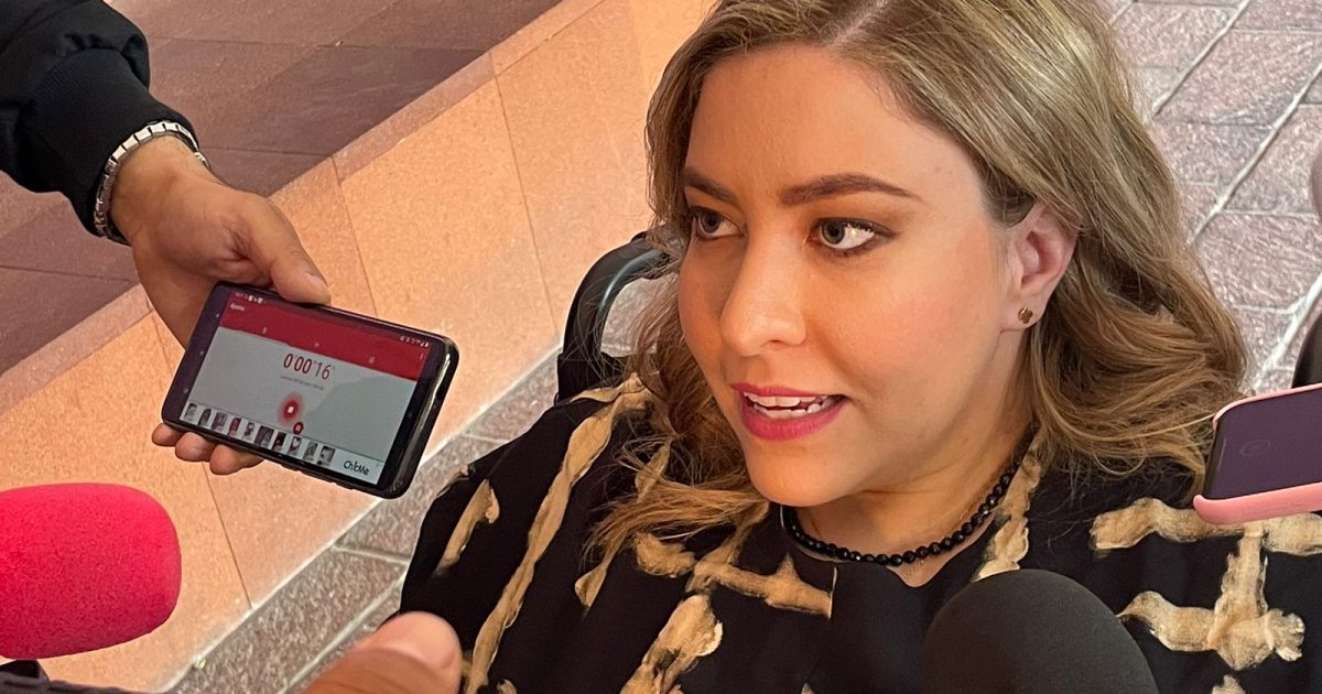 Presidenta de la CEDH, dispuesta a comparecer ante el Congreso de SLP ...