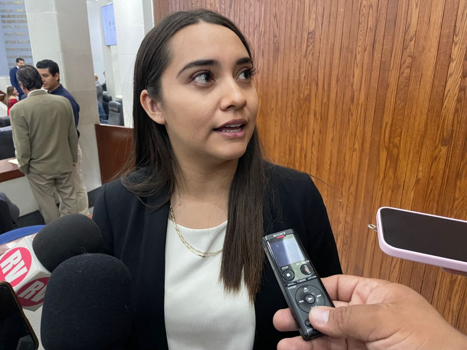 Nadia Ochoa regresaría al Congreso de SLP para presidir la Directiva ...